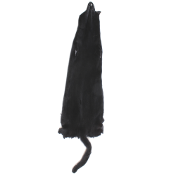 Danish mink male colored - Mink - Leather House - Fur, Buckles ...