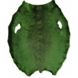 Seal skin dyed approx 5-6 Sqft (ft²) - Seal skins from Greenland ...