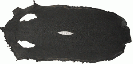 Rokkeskind 50cm - Reptil / fisk / slange / fugl - Skindhuset